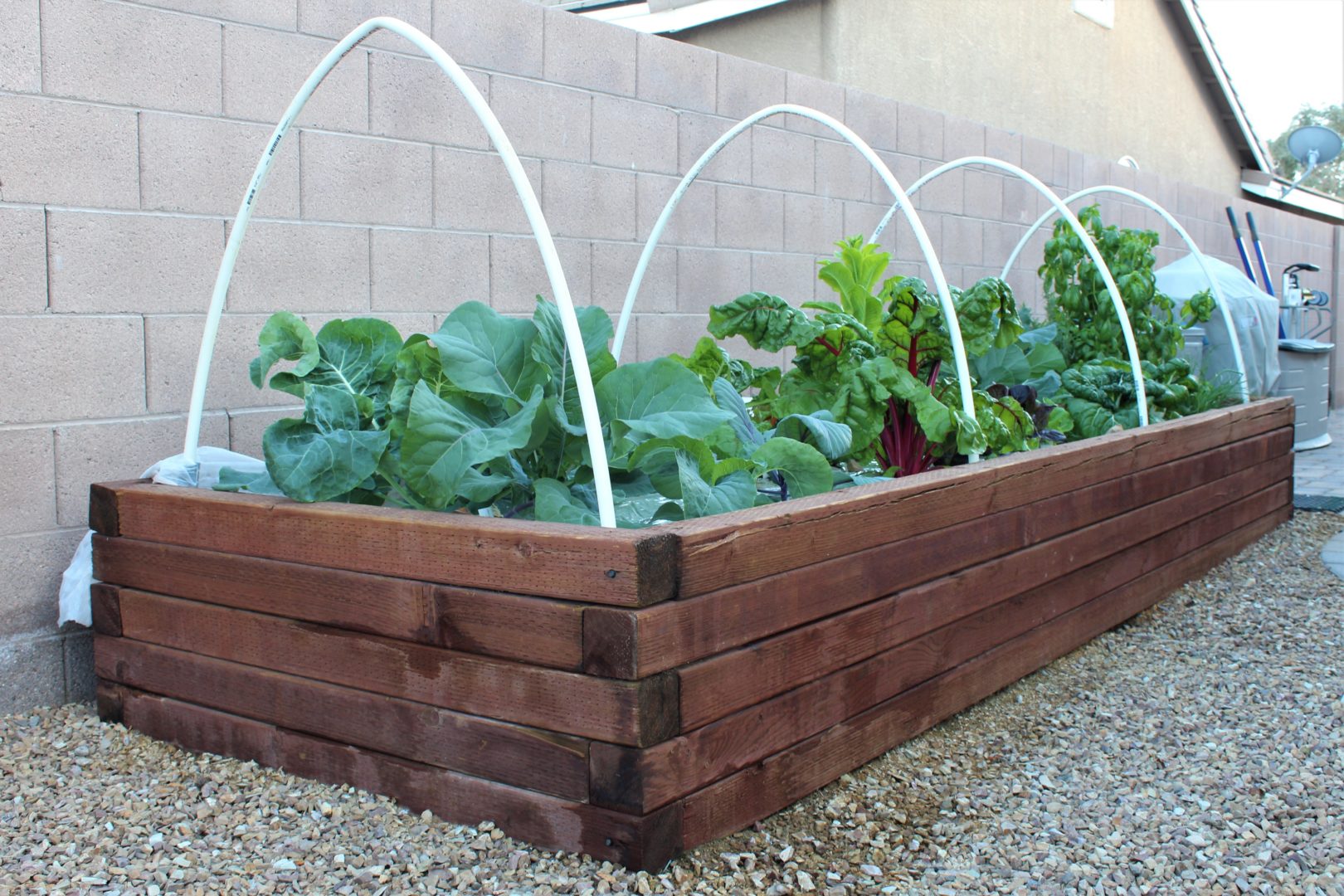 A Beginner's Guide to Starting Your Spring Vegetable Garden