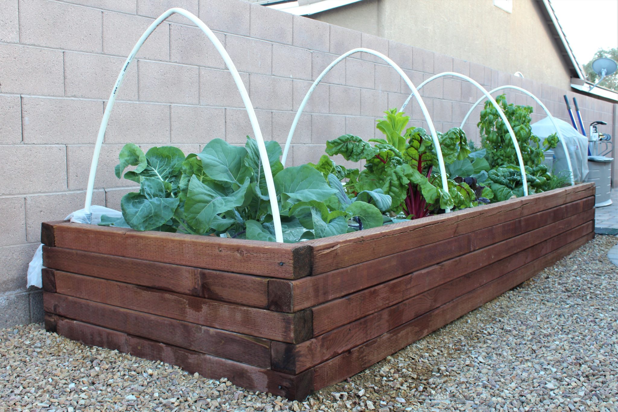 A Beginner's Guide to Starting Your Spring Vegetable Garden